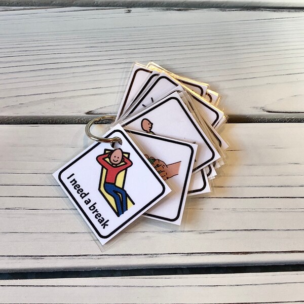 Boardmaker I Feel I Need I Want Card/create Your Own PEC - Etsy Canada