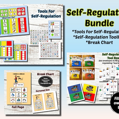 Tools for Self-regulation Zones of Regulation Sensory Diet | Etsy