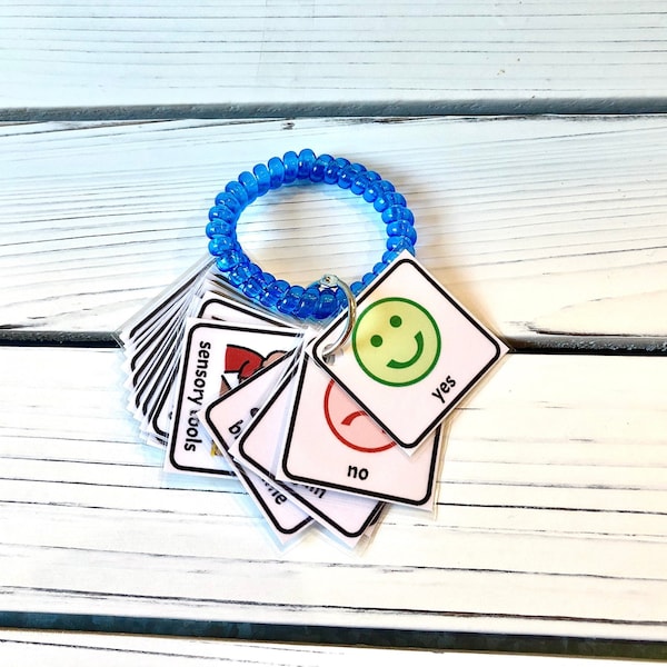 Boardmaker Daily Schedule PEC Board - Etsy Canada