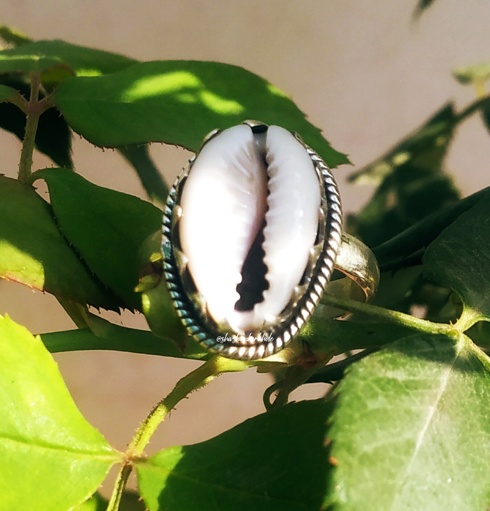 Cowrie Ring 92.5% silver Ring Codie ring Statement | Etsy