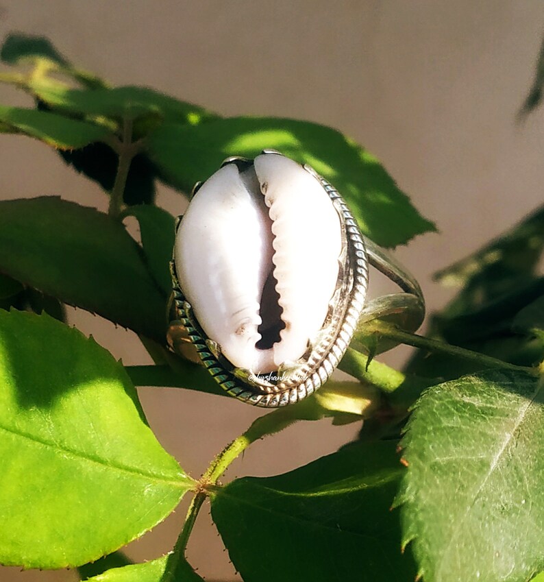 Cowrie Ring 92.5% Silver Ring Codie Ring Statement - Etsy