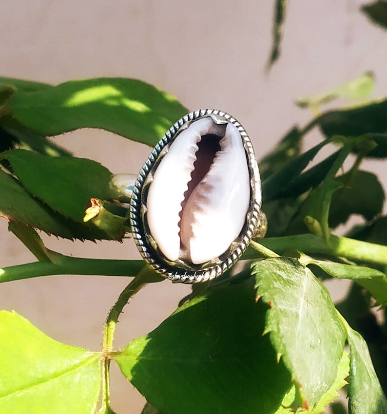 Cowrie Ring 92.5% Silver Ring Codie Ring Statement - Etsy