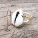 Cowrie Ring 92.5% Silver Ring Codie Ring Statement - Etsy