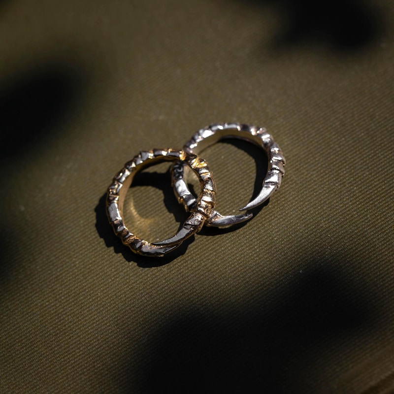 Bird Talon Ring - Etsy