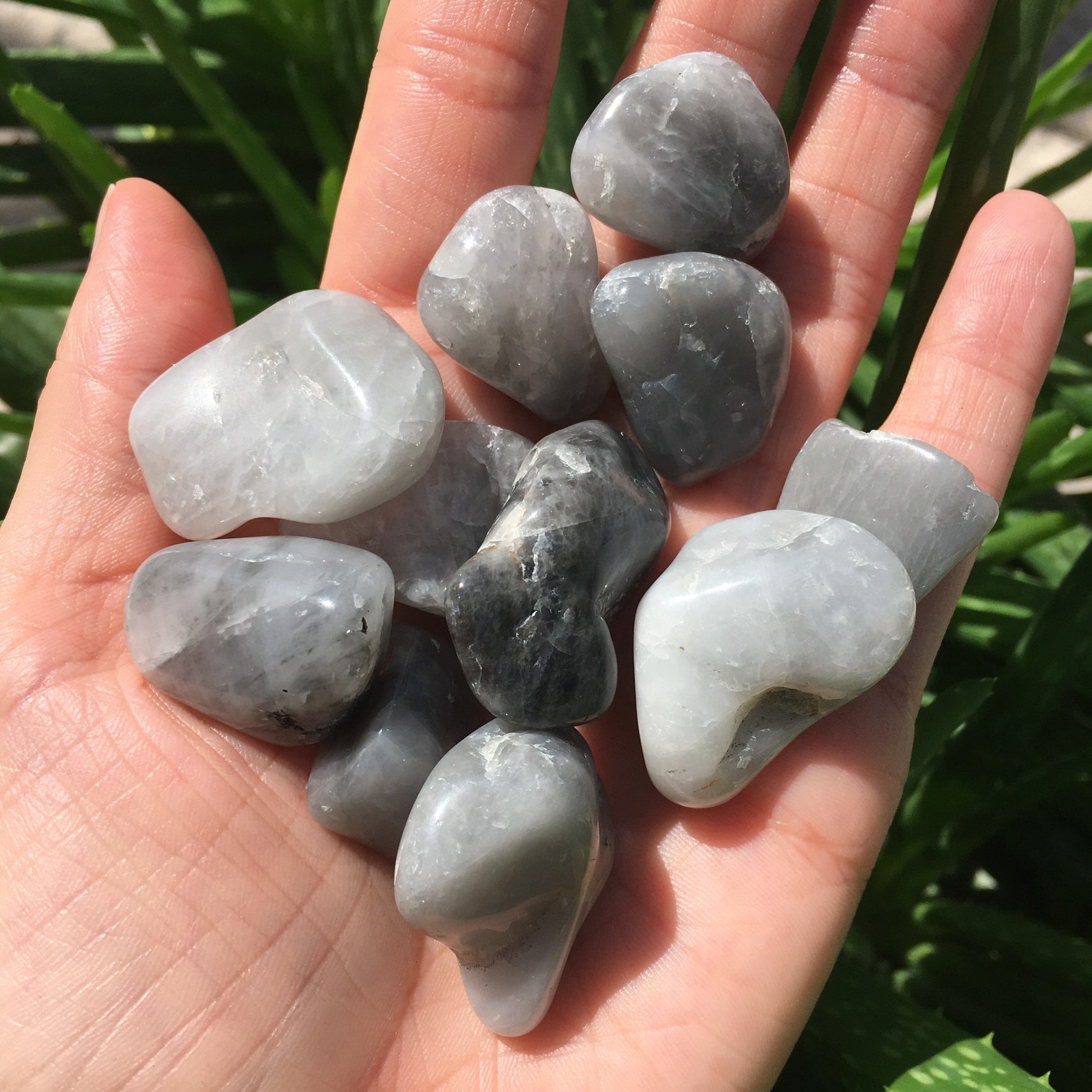 1 CAT'S EYE STONE Cats Eye Tumbled Stone Healing Crystals and Gemstones ...