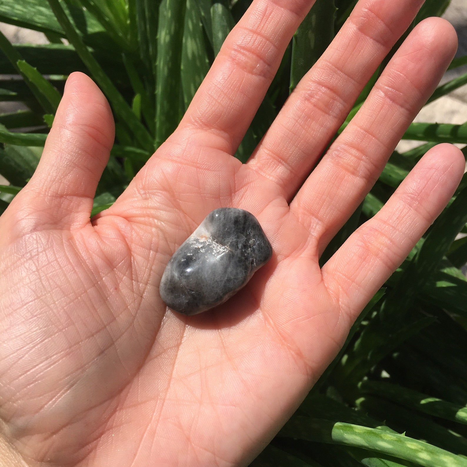 1 CAT'S EYE STONE Cats Eye Tumbled Stone Healing Crystals and Gemstones ...