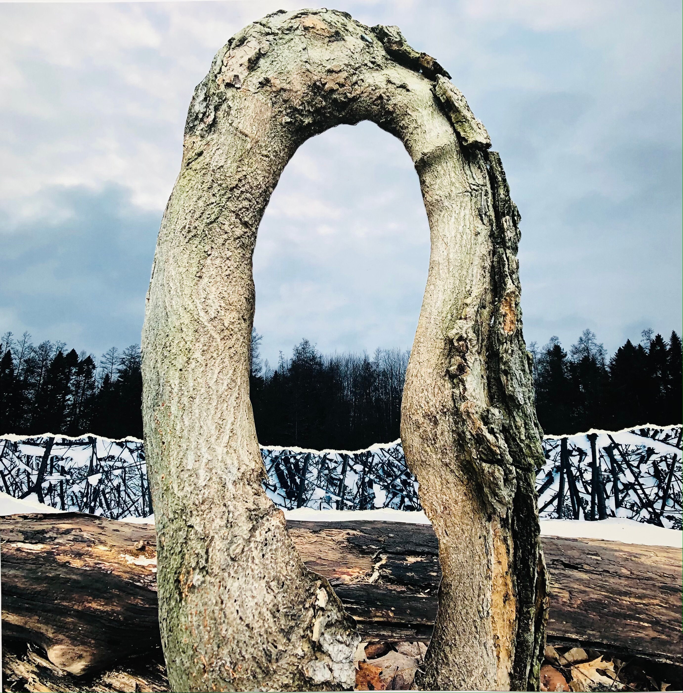 Arch Nature Art Print, Collage Landscape Print, Large Forest Wall Print ...