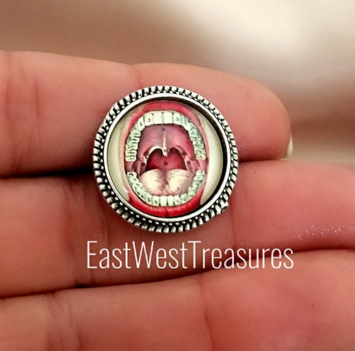 Oral Anatomy Pin-dental Tooth Lapel Tie Pin Brooch-dental - Etsy