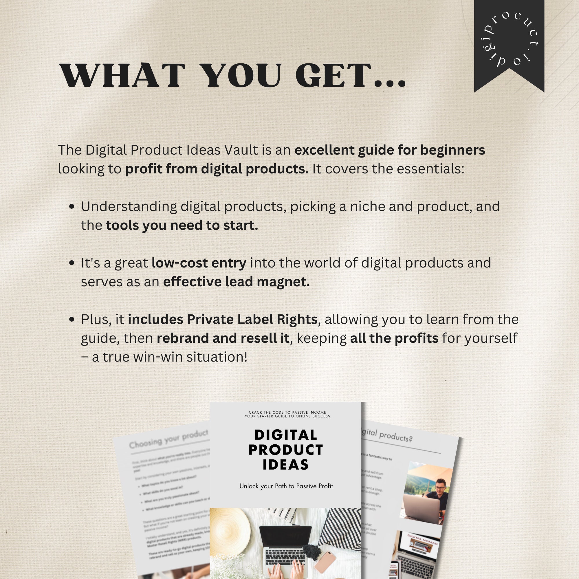 Digital Product Ideas | Passive Profit | PLR | Private Label Rights ...