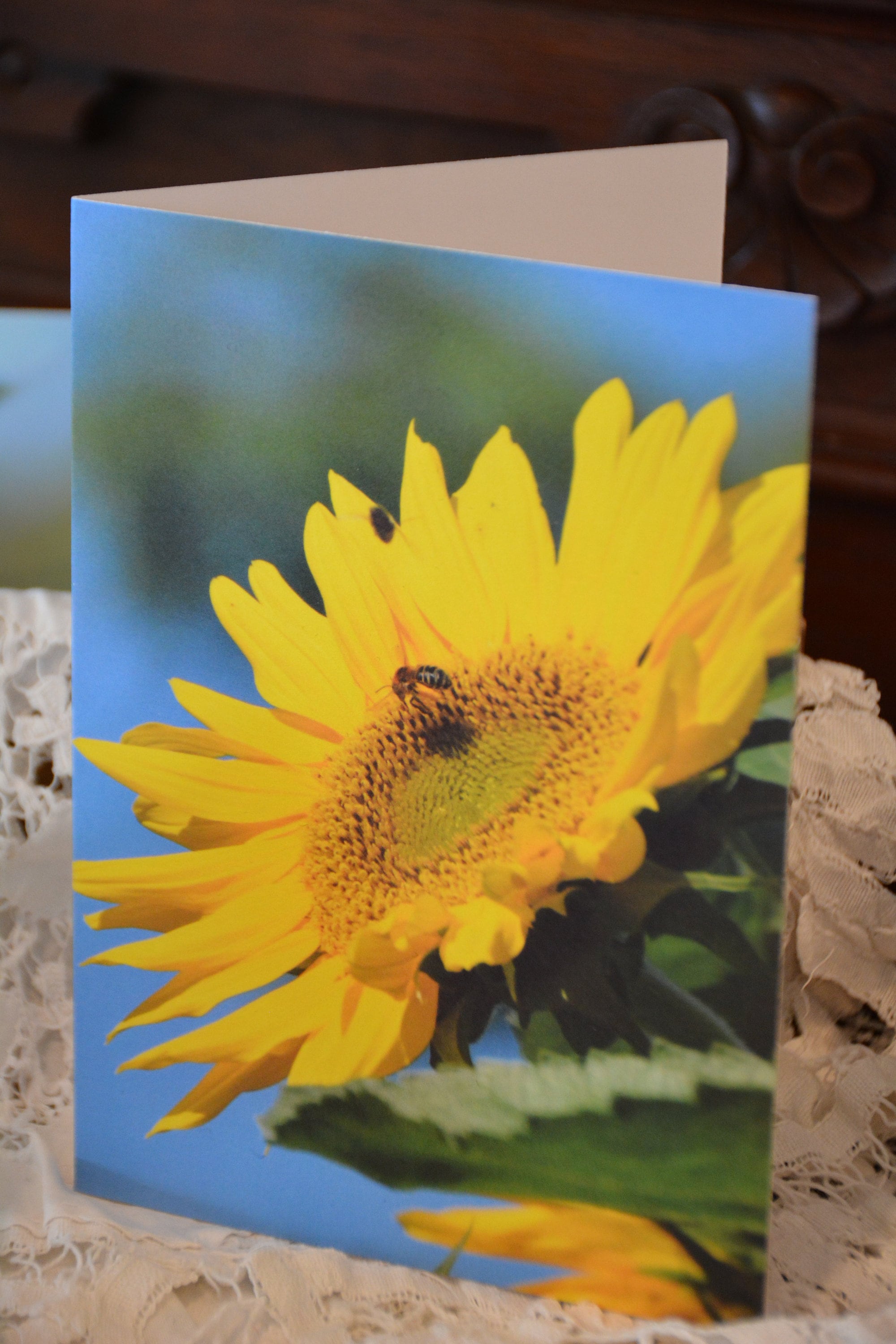 Sunflower Array Notecard Set. Sunflower Field, Bee on a Sunflower, Pink ...
