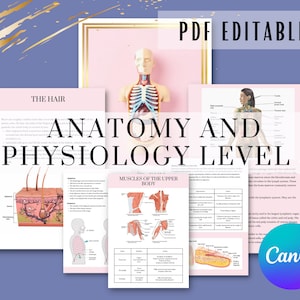 Anatomy and Physiology Training Manual, Editable Training Manual ...