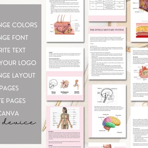 Anatomy and Physiology Level 3 Training Manual | 126 Pages + Quiz ...
