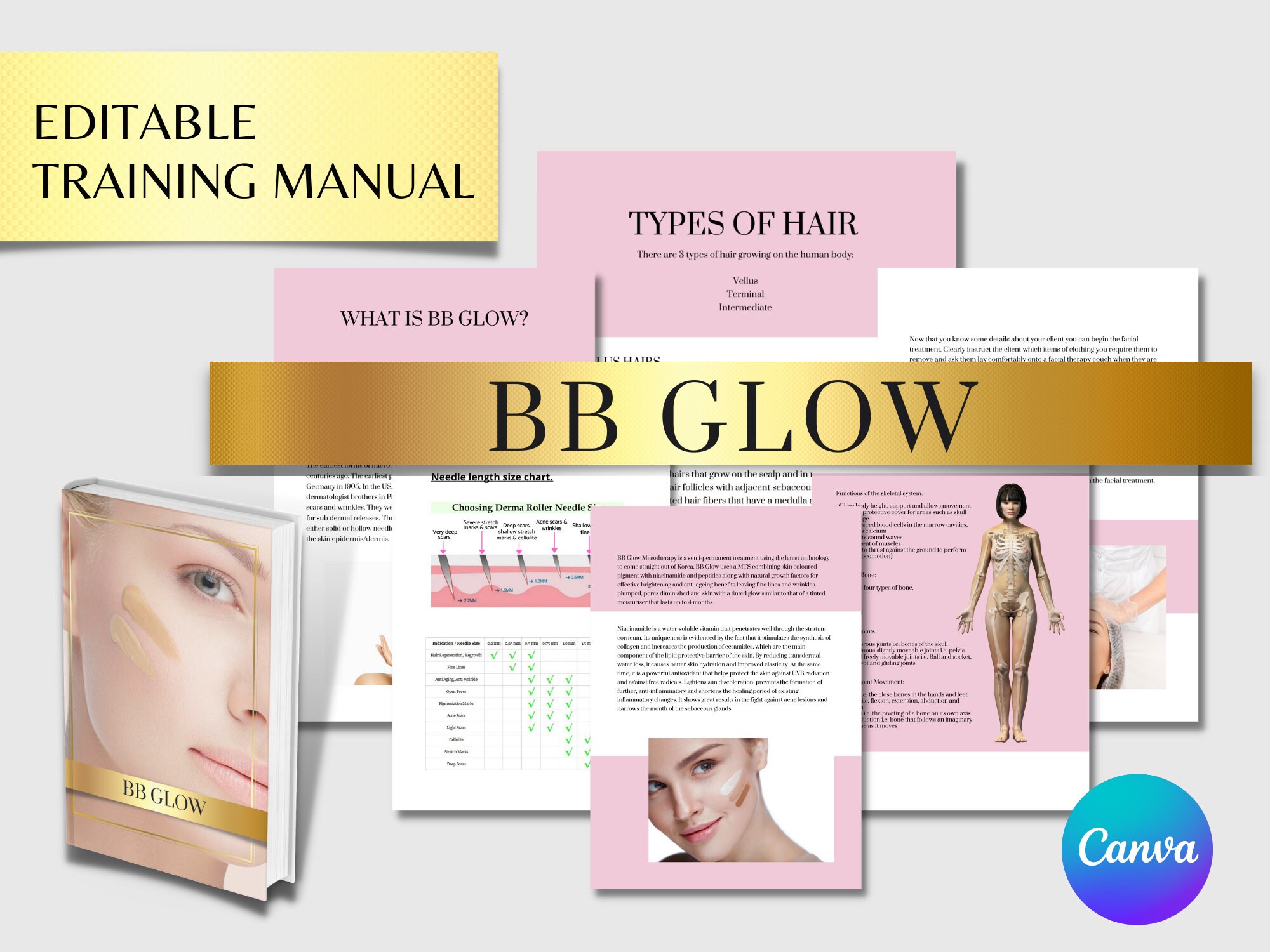 Pathway to Aesthetics Training Manual Bundle Including 3 X Pass ...
