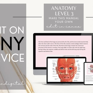 Anatomy and Physiology Level 3 Training Manual | 126 Pages + Quiz ...