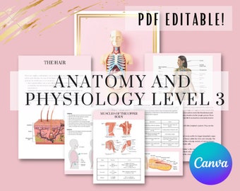 Anatomy and Physiology Level 3 Training Manual Editable A&P Course for ...
