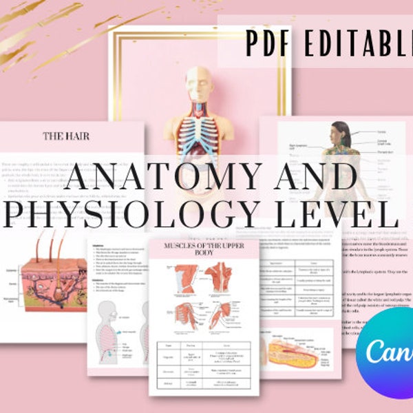 Anatomy and Physiology Training Manual - Etsy