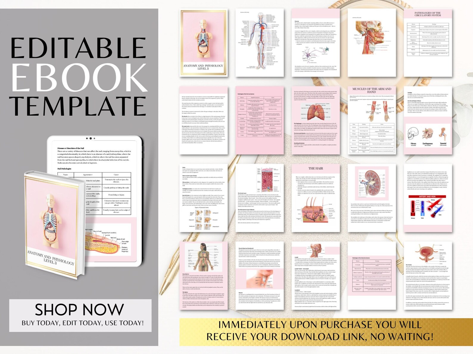 Pathway to Aesthetics Training Manual Bundle Including 3 X Pass ...