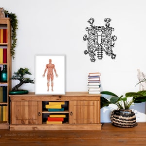 Flower Skeleton Wood Wall Art, Chiropractor Gift, Human Chest, Anatomy ...