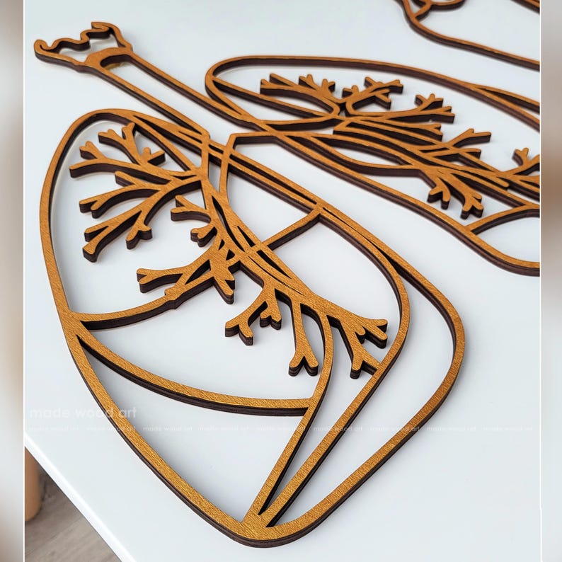 3 Piece Wood Wall Art, Medical Office Decor, Doctor Gift, Human ...