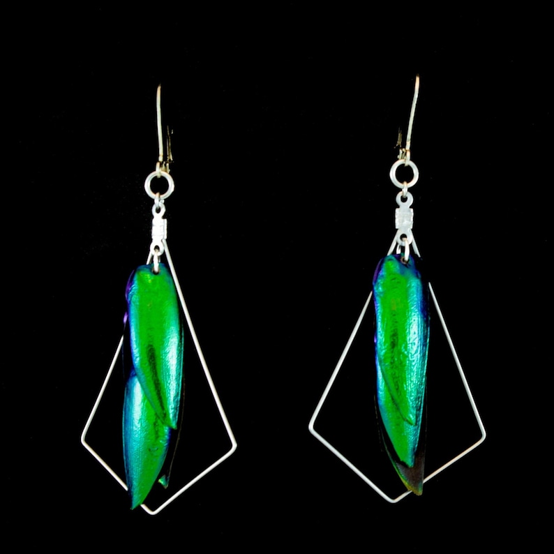 Real Elytra Beetle Wing Earrings Silver Hoop Earrings Oddity | Etsy