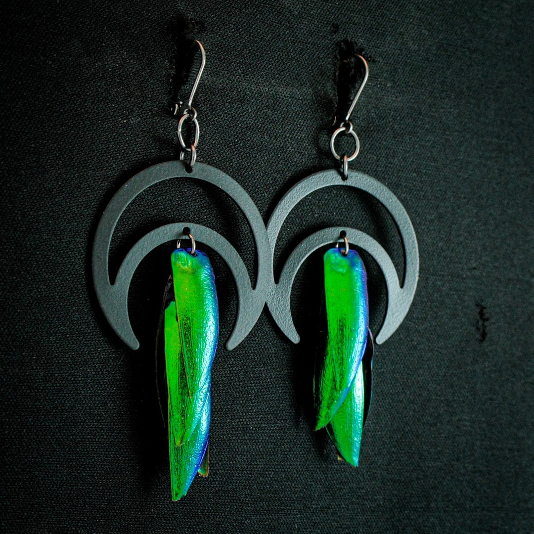 Real Beetle Wing Earrings, Taxidermy Jewelry, Crescent Moon Earrings ...