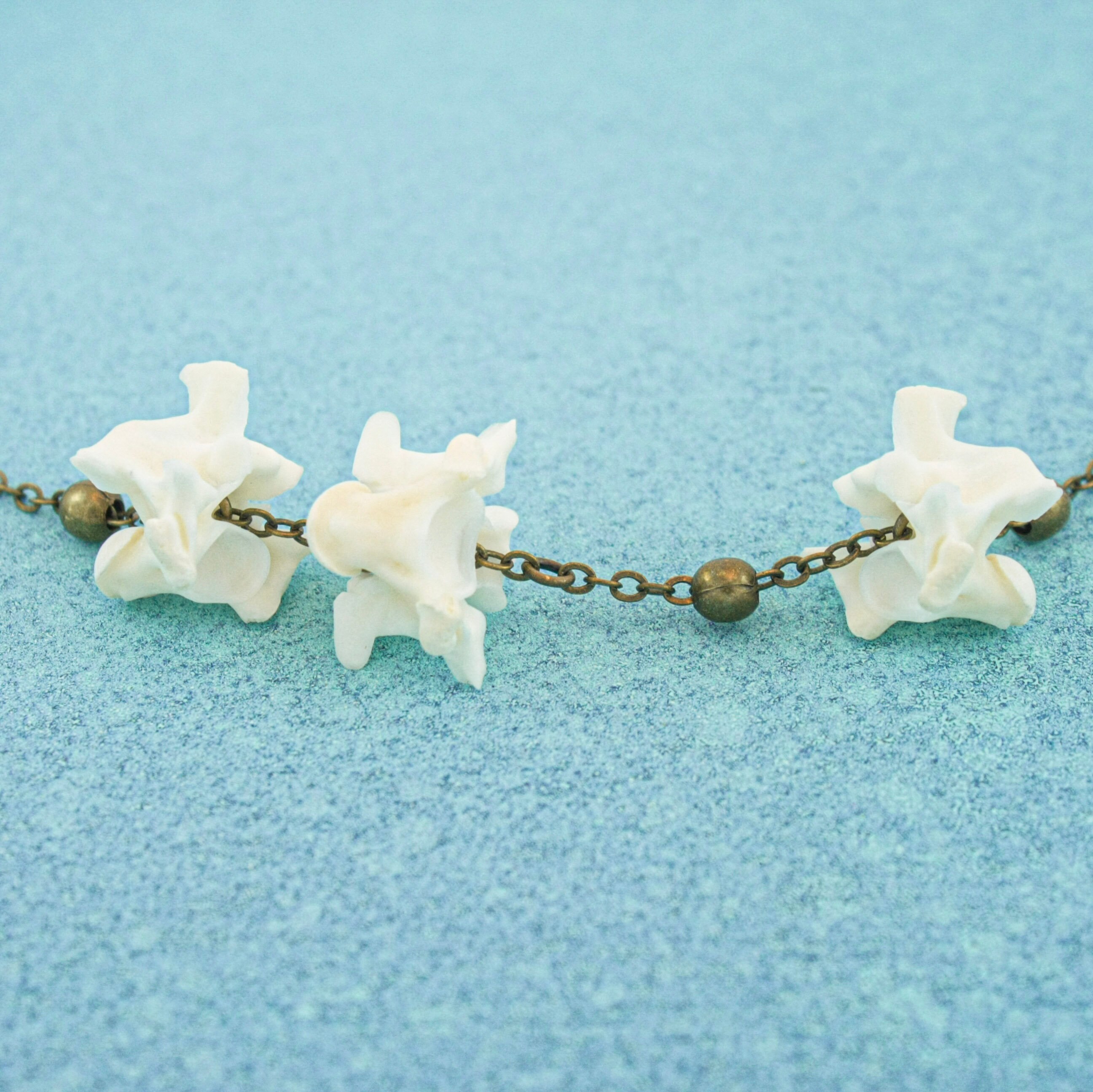 Snake Vertebrae Necklace Antique Brass Necklace Taxidermy - Etsy