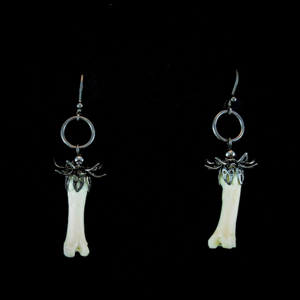 Animal Bones Real - Etsy