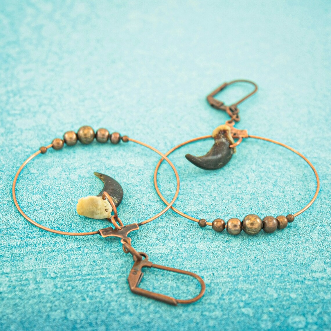 Coyote Claw Hoop Earrings Antique Copper Earrings Taxidermy - Etsy
