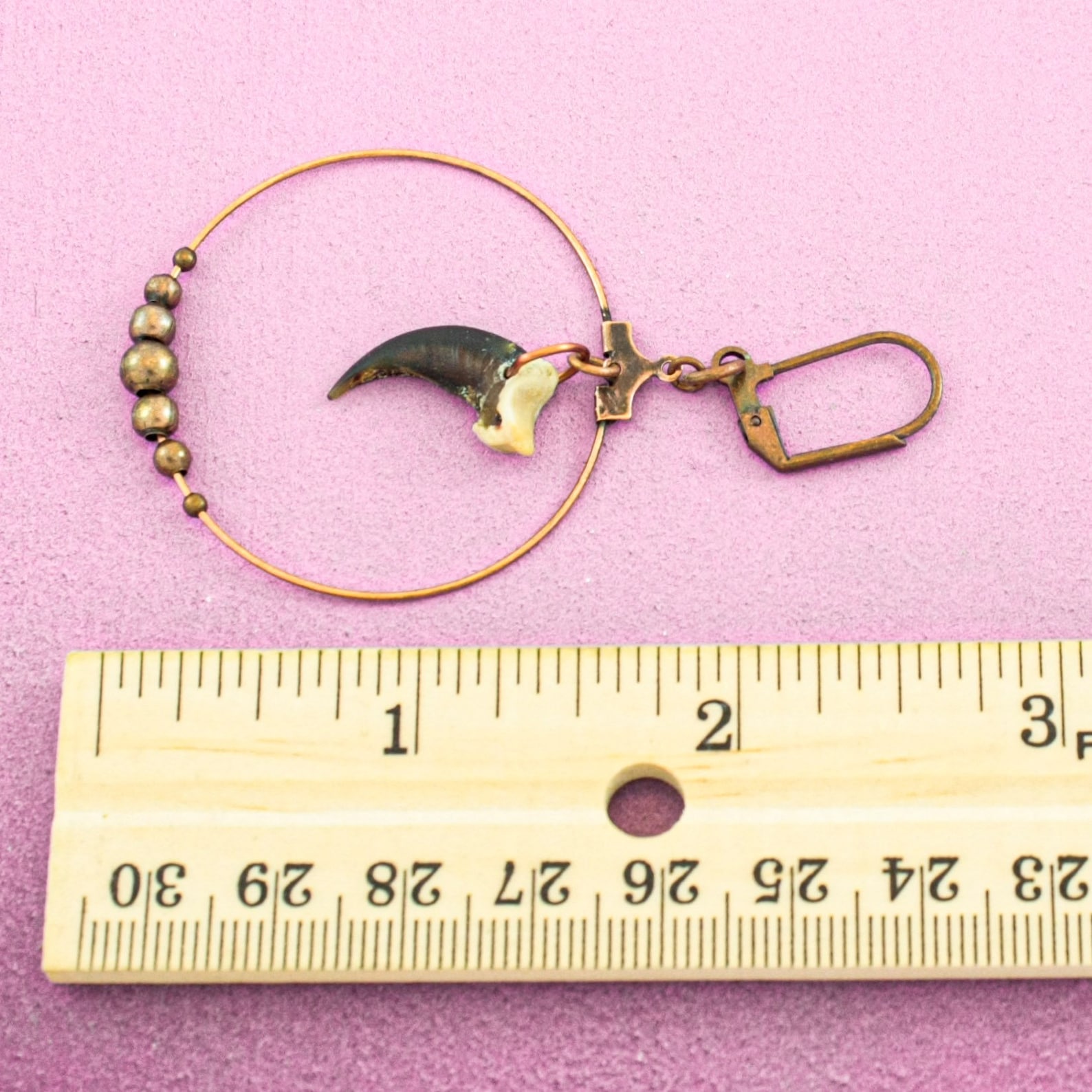 Coyote Claw Hoop Earrings Antique Copper Earrings Taxidermy - Etsy