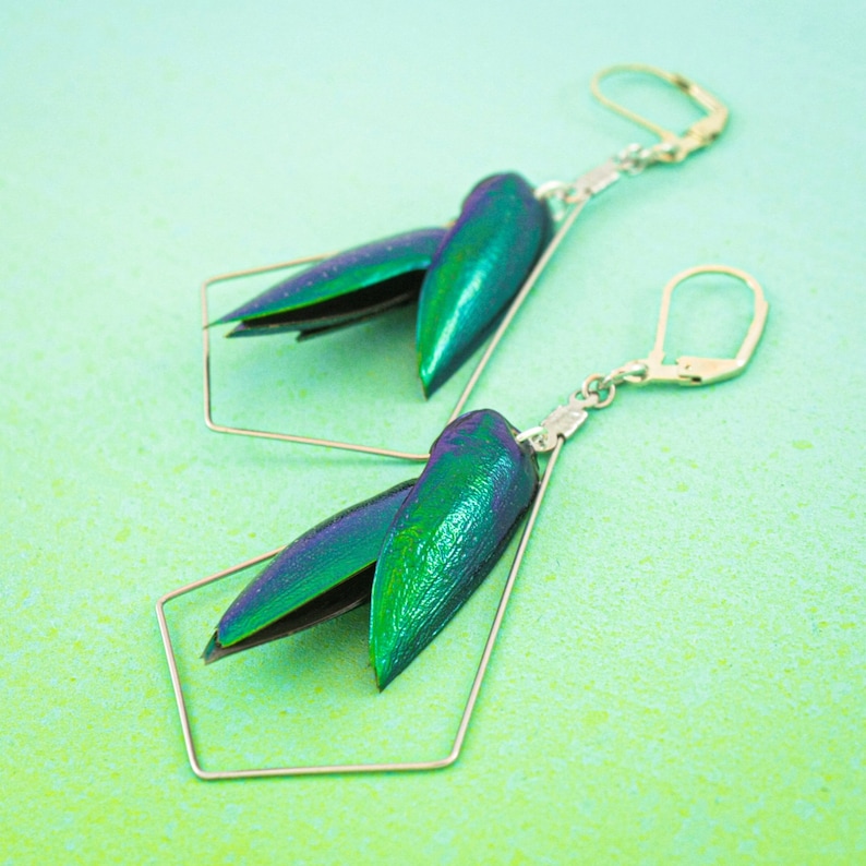 Real Elytra Beetle Wing Earrings Silver Hoop Earrings Oddity | Etsy