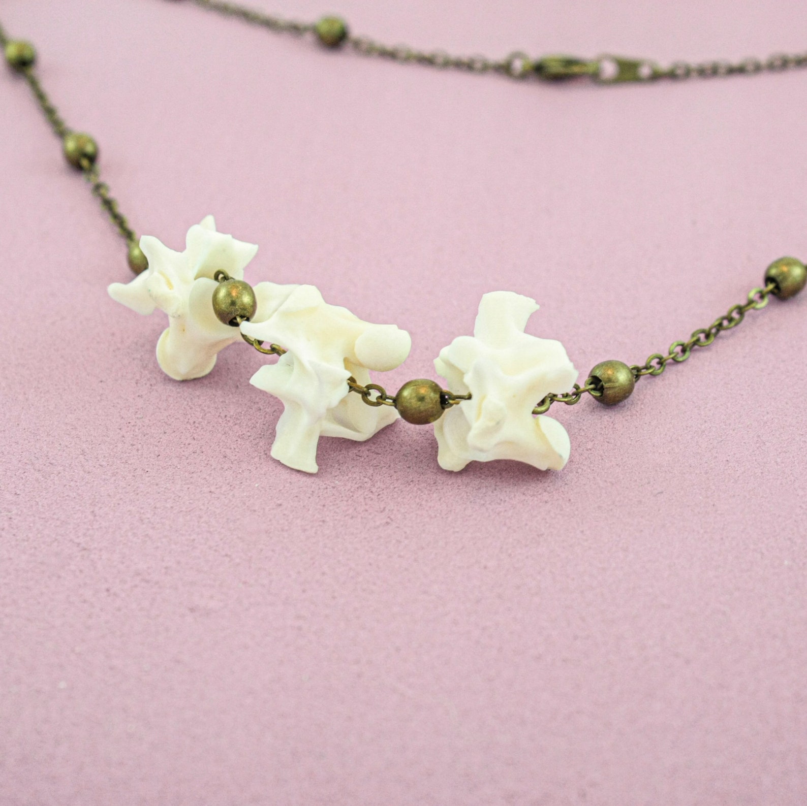 Snake Vertebrae Necklace Antique Brass Necklace Taxidermy | Etsy