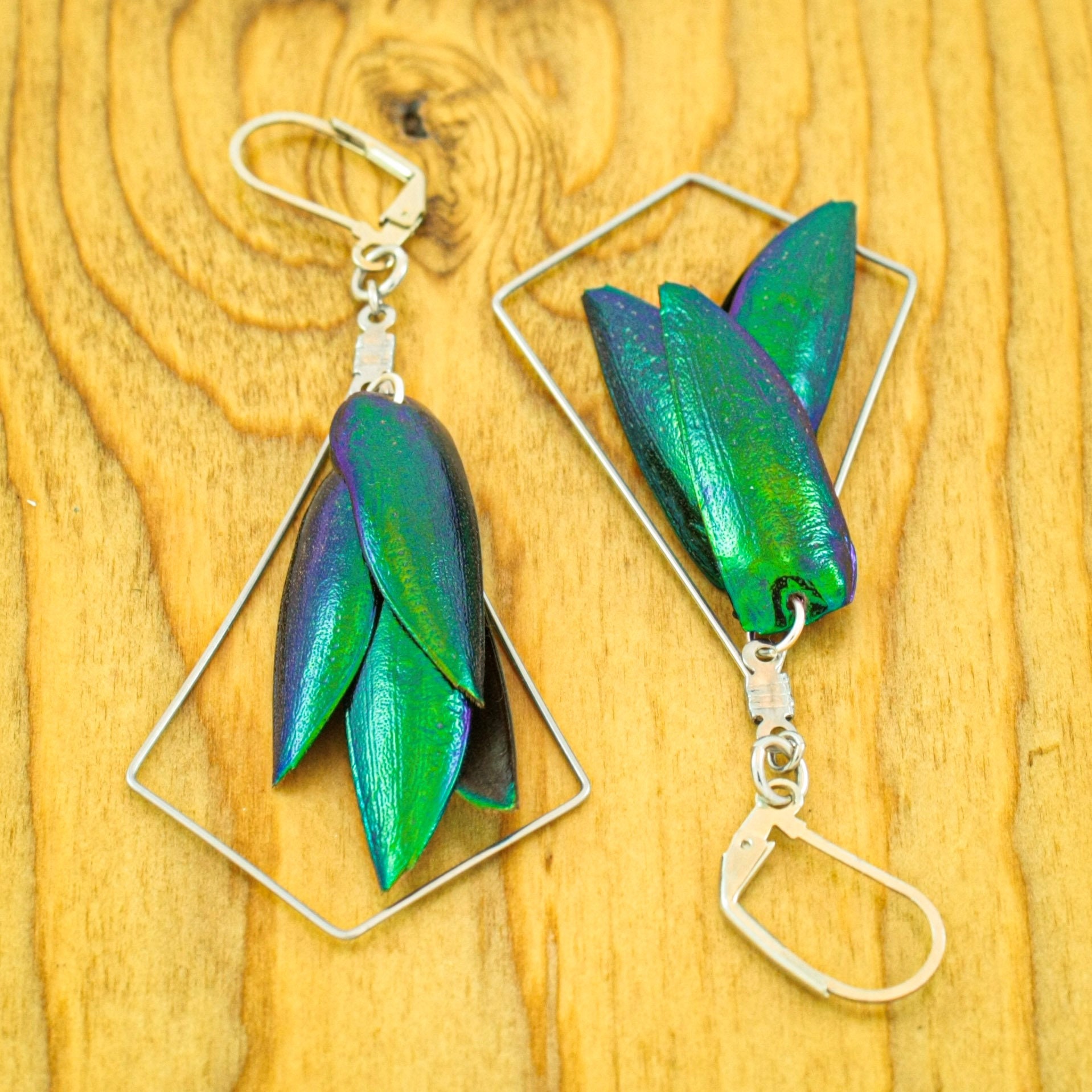Real elytra beetle wing earrings silver hoop earrings oddity | Etsy