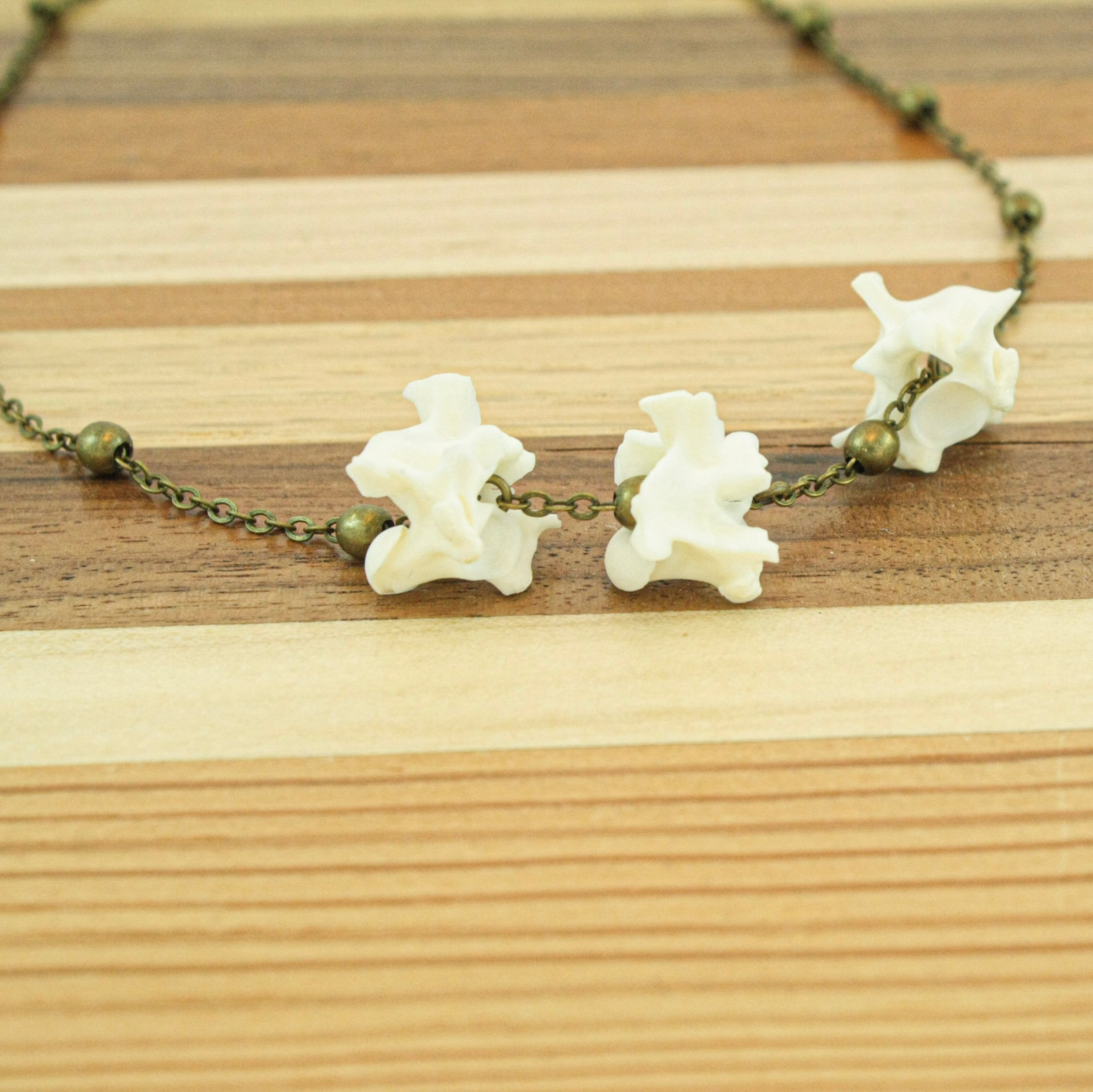 Snake Vertebrae Necklace Antique Brass Necklace Taxidermy | Etsy