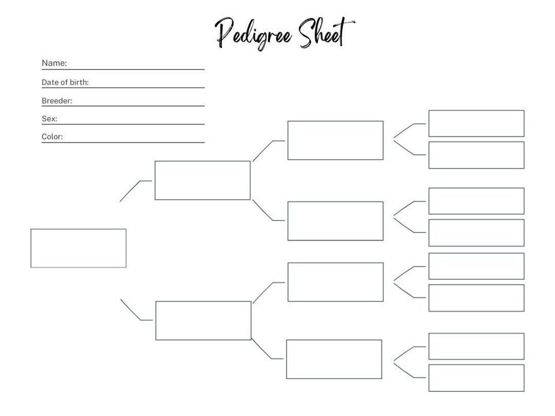 Pedigree Sheet | Farm Planner Insert | Tracks Names, Breed, and ...