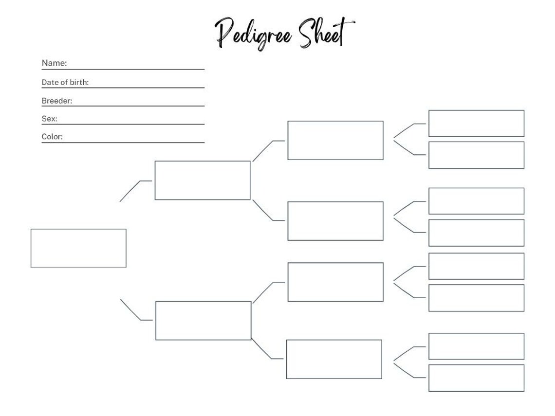 FILLABLE Pedigree Sheet | Farm Planner Insert | Tracks Names, Breed ...
