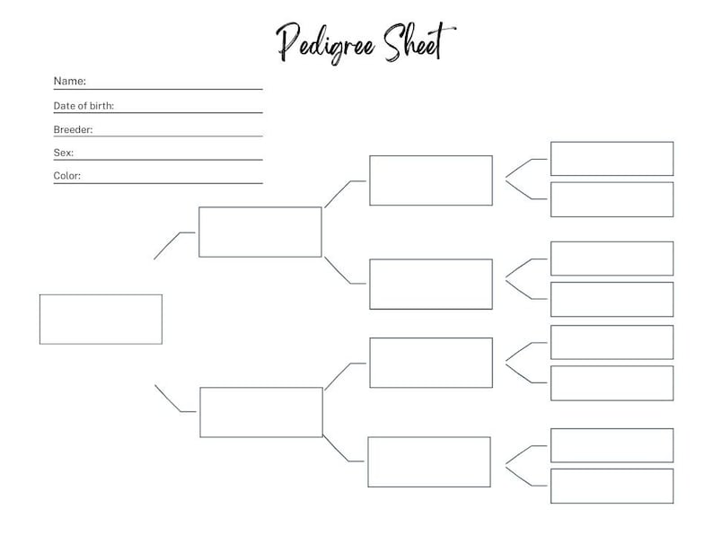FILLABLE Pedigree Sheet | Farm Planner Insert | Tracks Names, Breed ...
