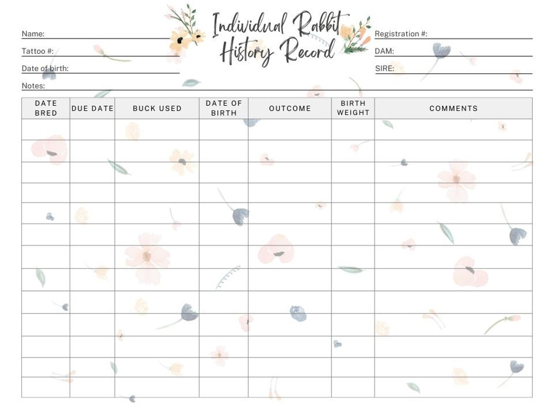 Rabbit Record Keeper | Farm Planner | Navy and Blush Floral Calendar - Etsy