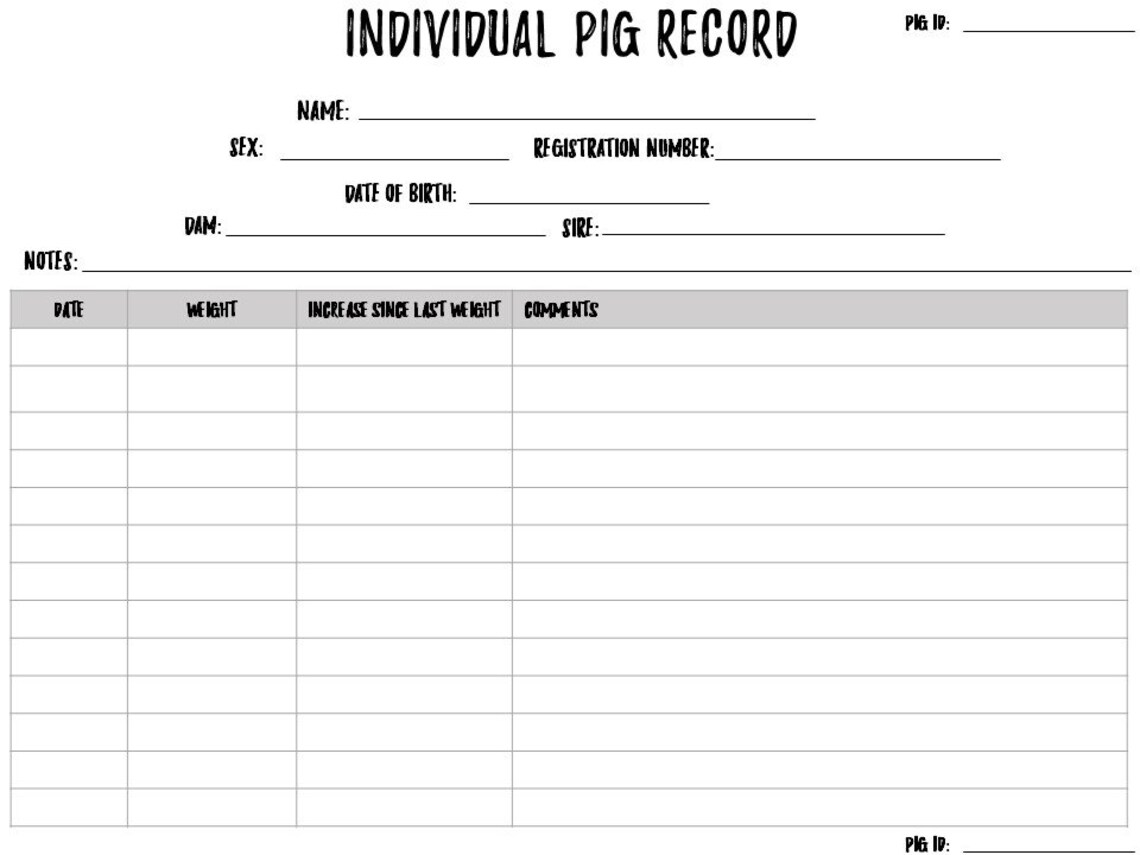 Hog Pack Farm Planner Litter record sow production | Etsy