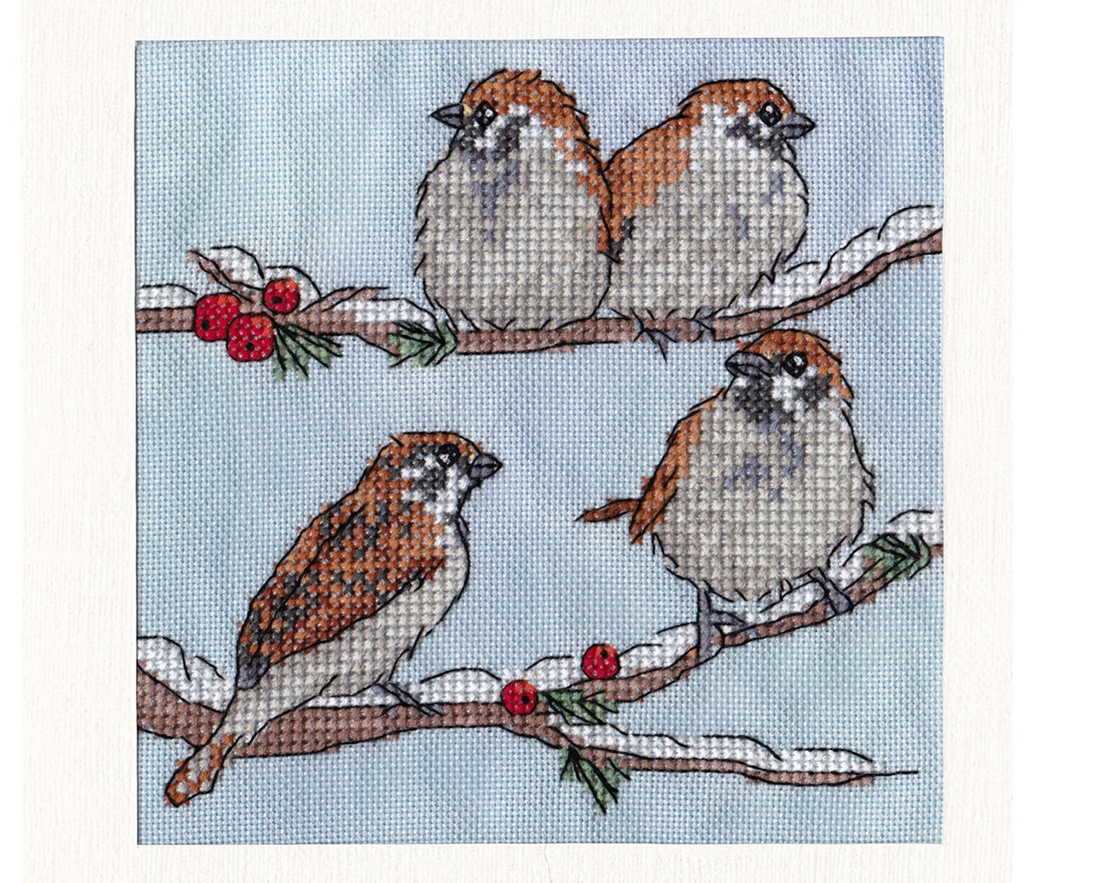 Winter Birds Cross Stitch Patterns by Fiona Baker Instant - Etsy