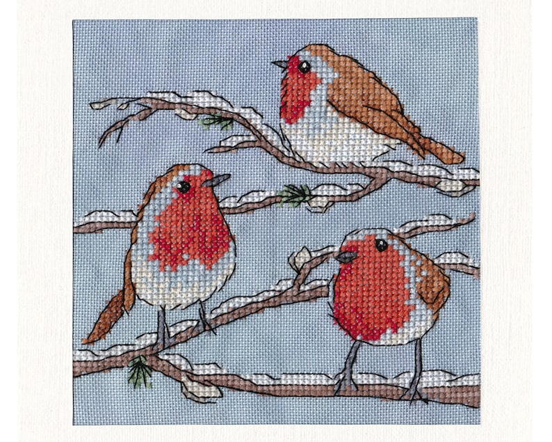 Winter Birds Cross Stitch Patterns by Fiona Baker Instant - Etsy