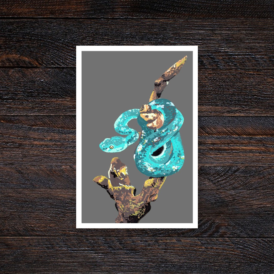 Blue Pit Viper Matte Illustrated Fine Art Print Wall Decor 4x6, 5x7 ...