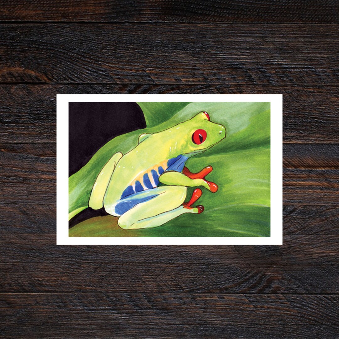 Red Eyed Tree Frog Matte Illustrated Fine Art Print Wall Decor 4x6, 5x7 ...