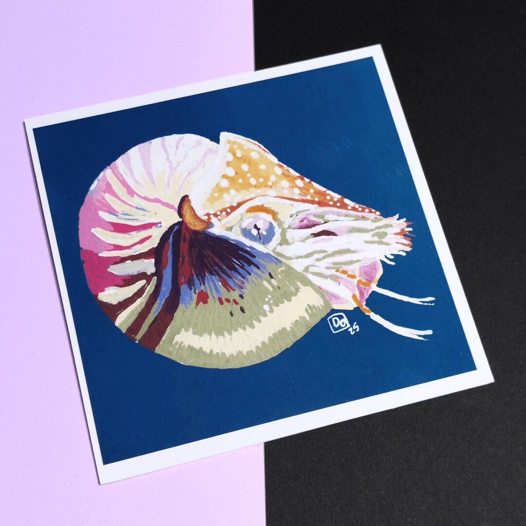 Nautilus Matte Illustrated Fine Art Print | Wall Decor | 4x4 | Gift ...