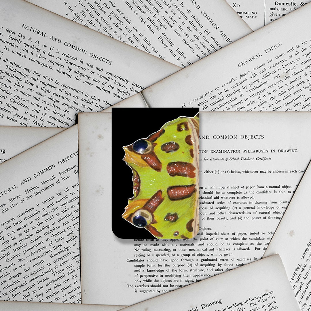 Pacman Frog 2x3 Illustrated Magnetic Bookmark Reading, Library ...