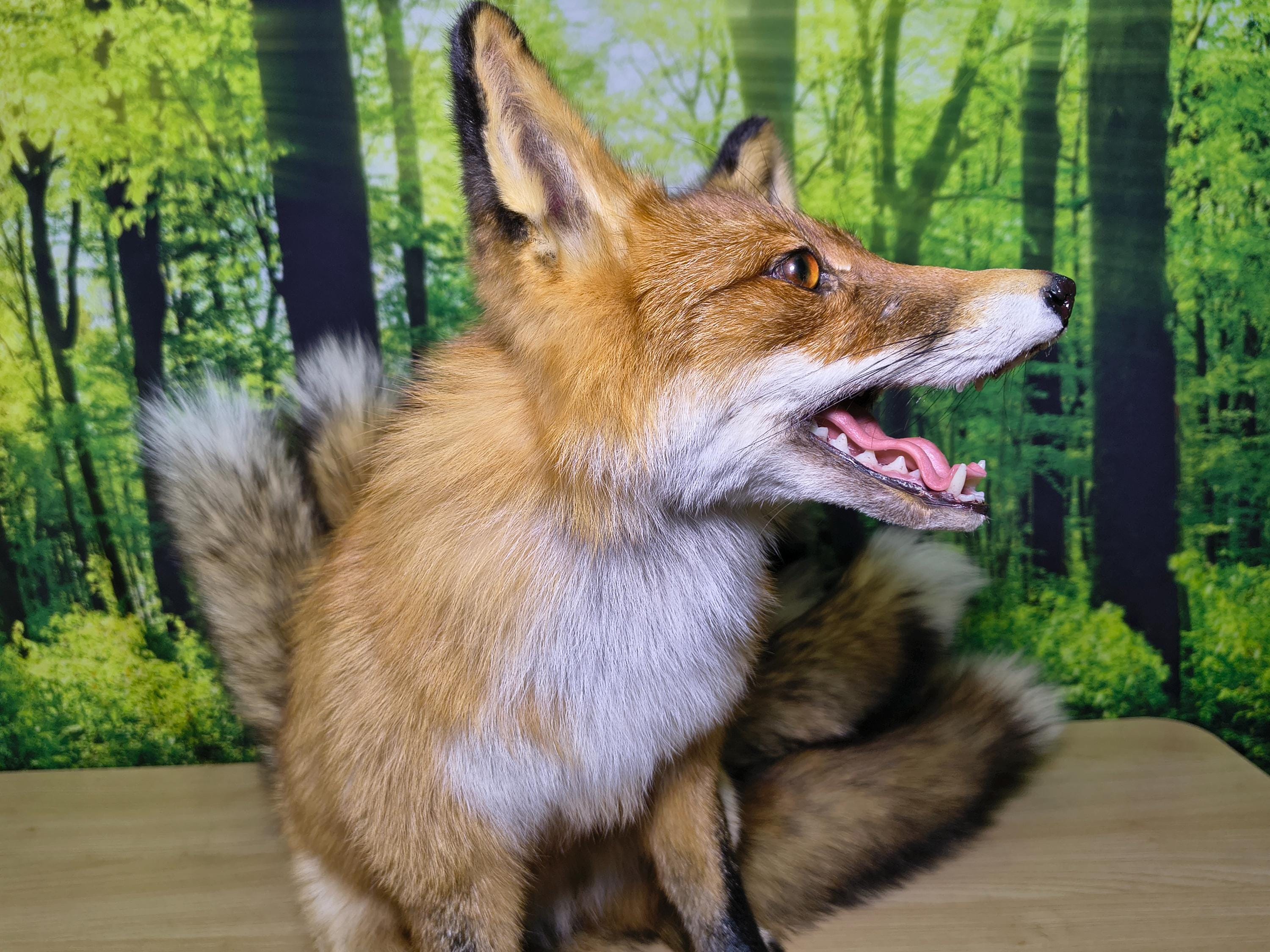Ninetailed Fox Soft Mount - Etsy