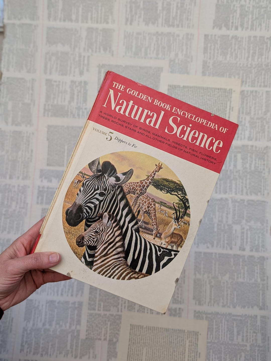 Zebra Journal With Vintage Book Covers, Nature Science Gift, Mothers ...