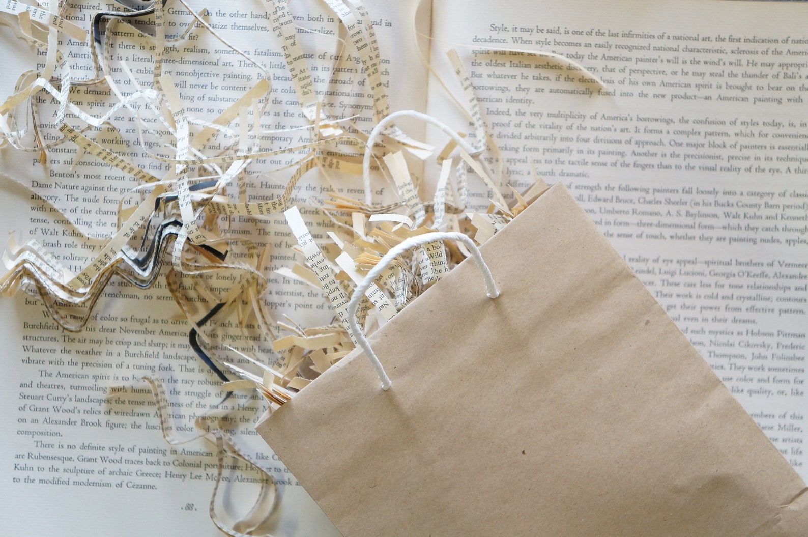 Bookish Gift Wrap Packaging Material Shredded Book Pages - Etsy