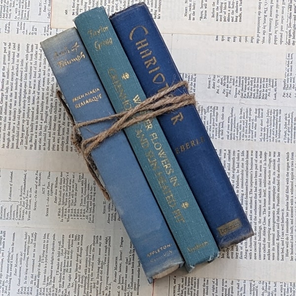 Blue Book Stack - Etsy
