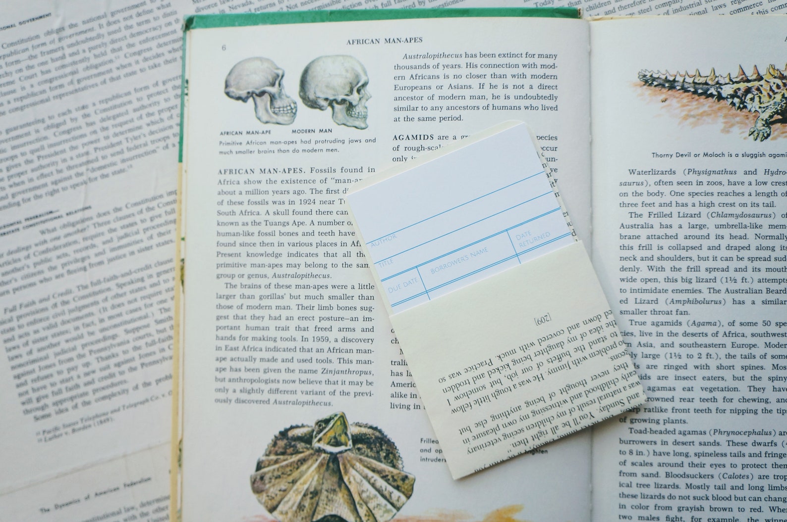 Printable Blank Library Cards With Pocket Template (instant Download ...