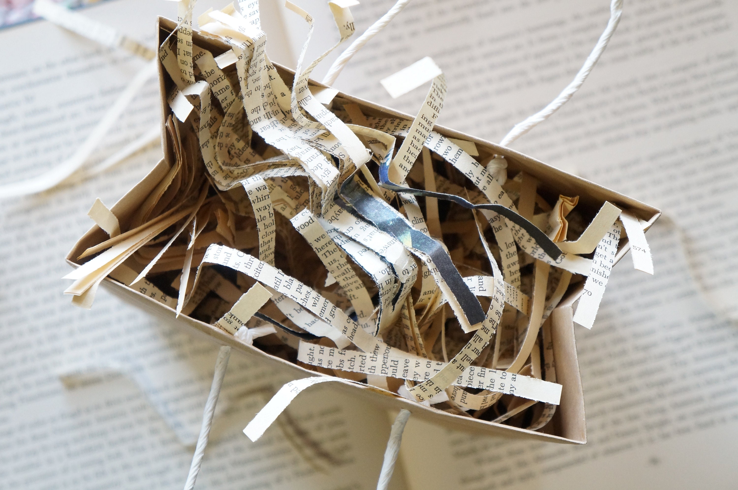 Bookish Gift Wrap Packaging Material Shredded Book Pages | Etsy